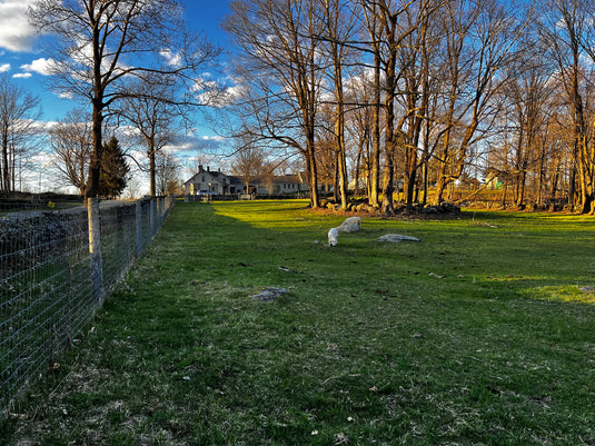 Members – Farmers Guild of Hardwick